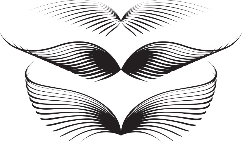 Free Wings Vector Images (over 15,000)