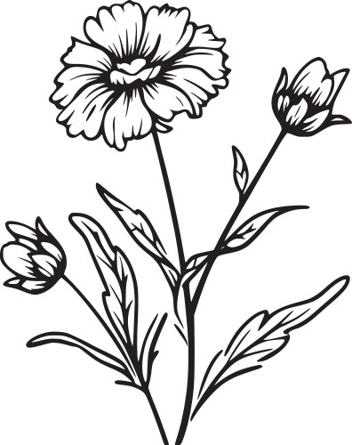 Daisy Svg Vector Images (over 2,000)