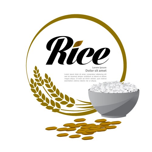 Italian rice Royalty Free Vector Image - VectorStock