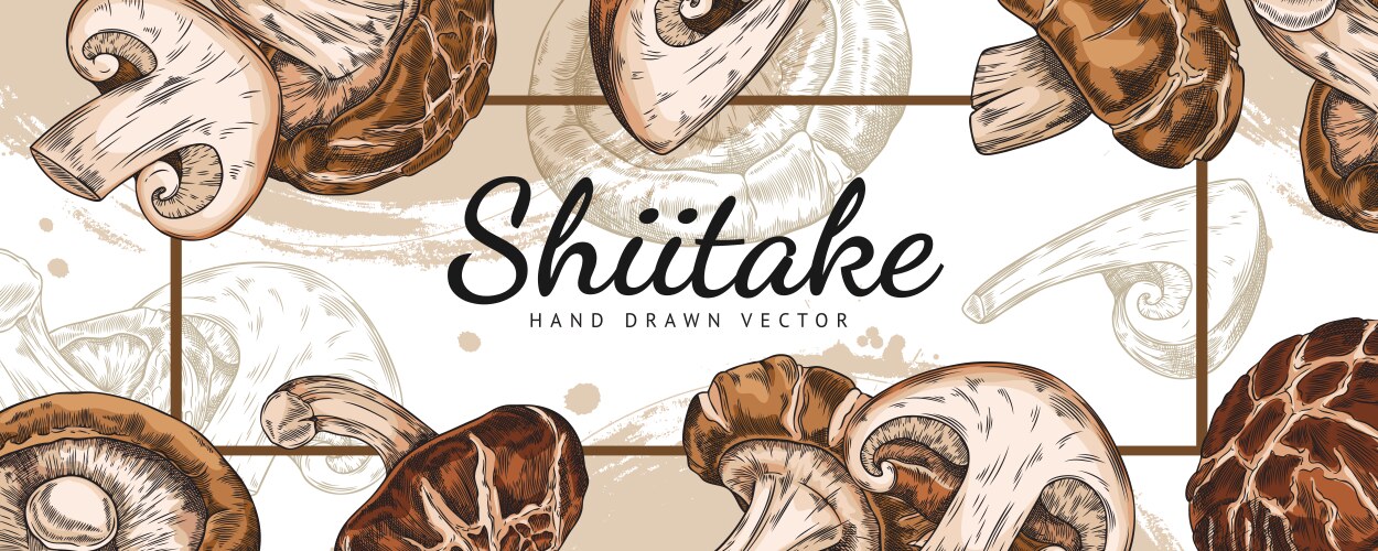 Vertical pattern shiitake mushrooms Royalty Free Vector