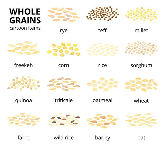 Teff Vector Images (over 190)