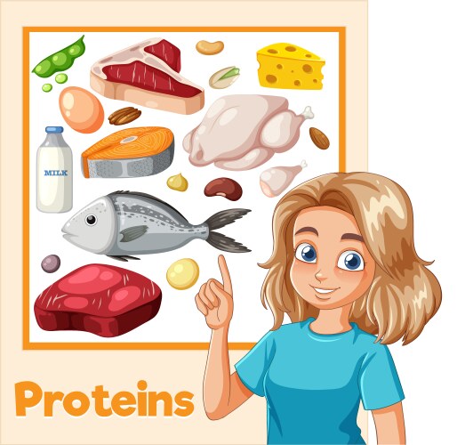 Protein Cartoon Vector Images (over 26,000)