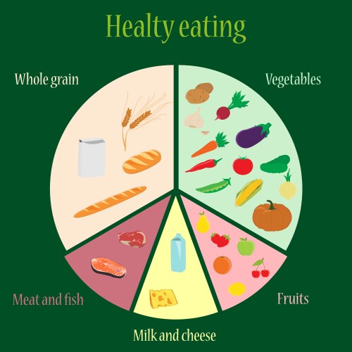 Healthy eating chart Royalty Free Vector Image