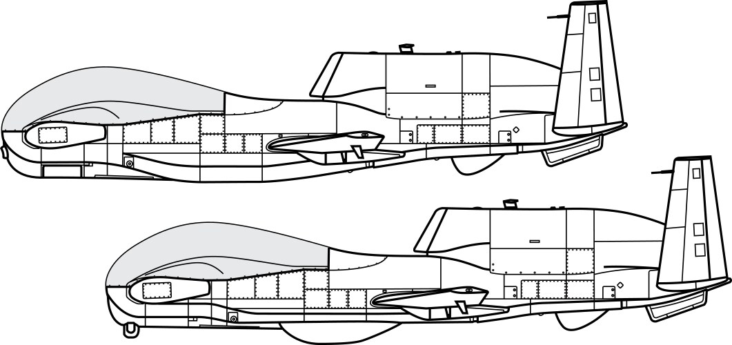 Hawk Outline Vector Images (over 5,100)