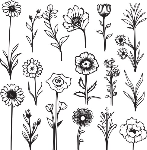 Daisy Svg Vector Images (over 2,000)