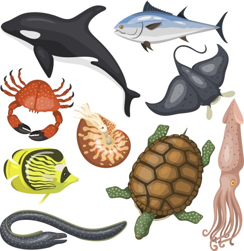 Different Types of Animals Vector Images (over 1,400) Different Types of Animals Vector Images (over 1,400)