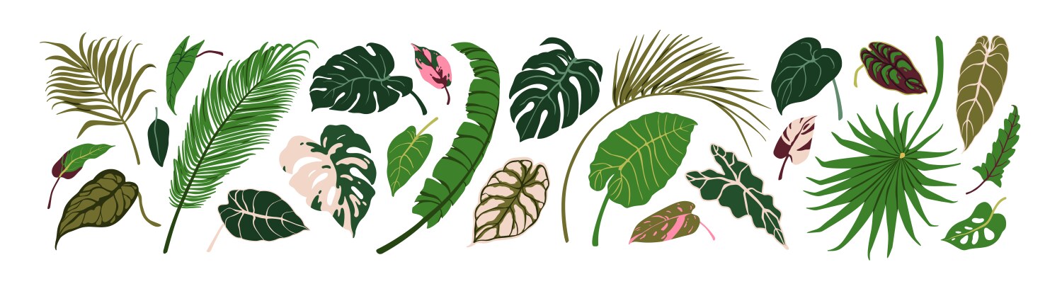 Jungle Leaves Clip Art Vector Images (over 2,000)