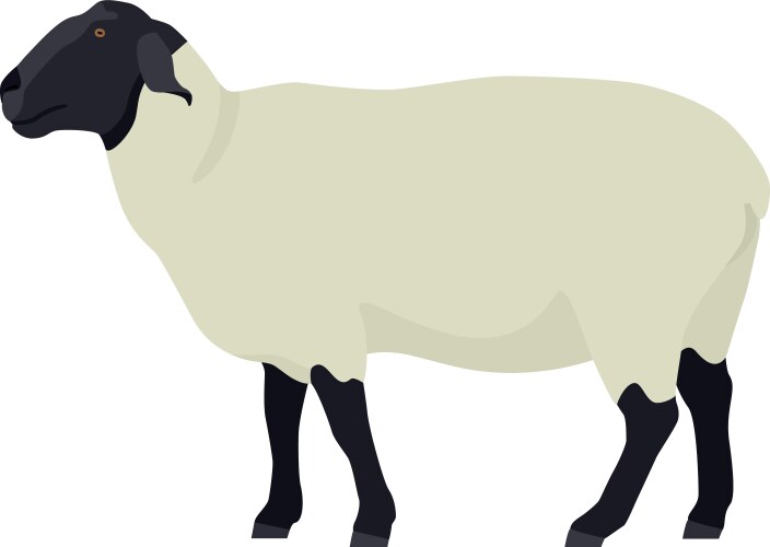 Animal Suffolk Sheep Vector Images (over 200)