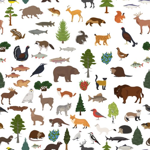 Taiga biome boreal snow forest terrestrial Vector Image