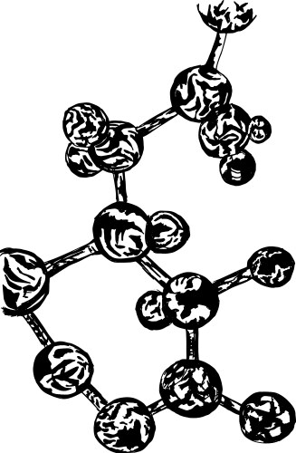 Hand sketch of a group friends Royalty Free Vector Image