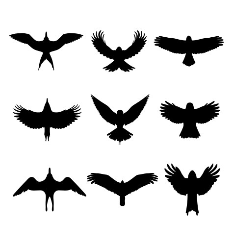 Flight Vector Images (over 320,000)