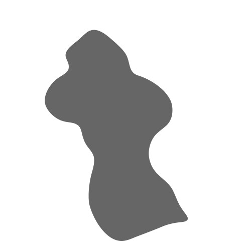 Guyana simplified map Royalty Free Vector Image