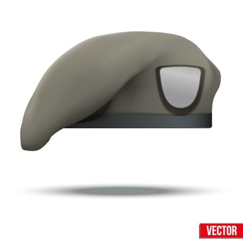 Military green beret army special forces Vector Image