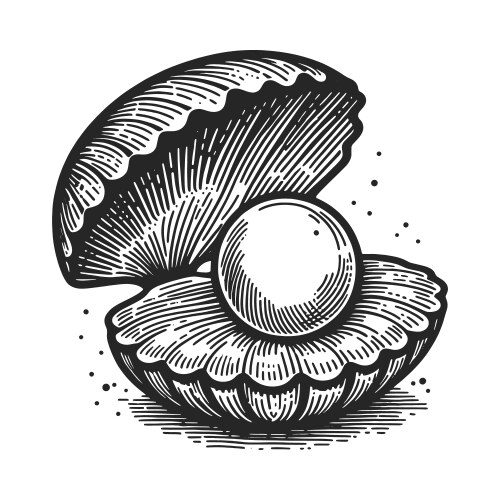 Pearl In Shell Drawing
