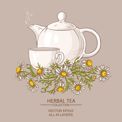 Chamomile herbal tea in a transparent cup Vector Image