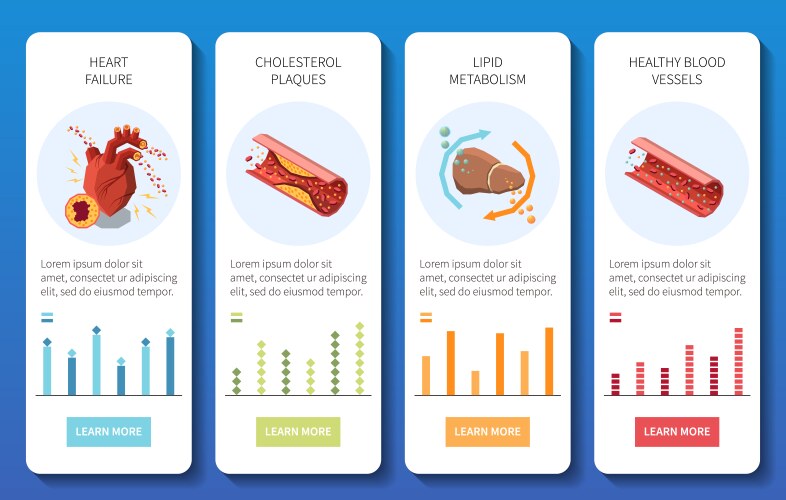 Cholesterol level infographics Royalty Free Vector Image