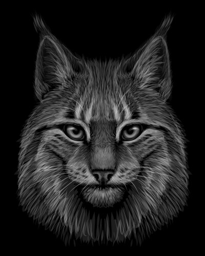 Lynx abstract neon multicolored portrait Vector Image