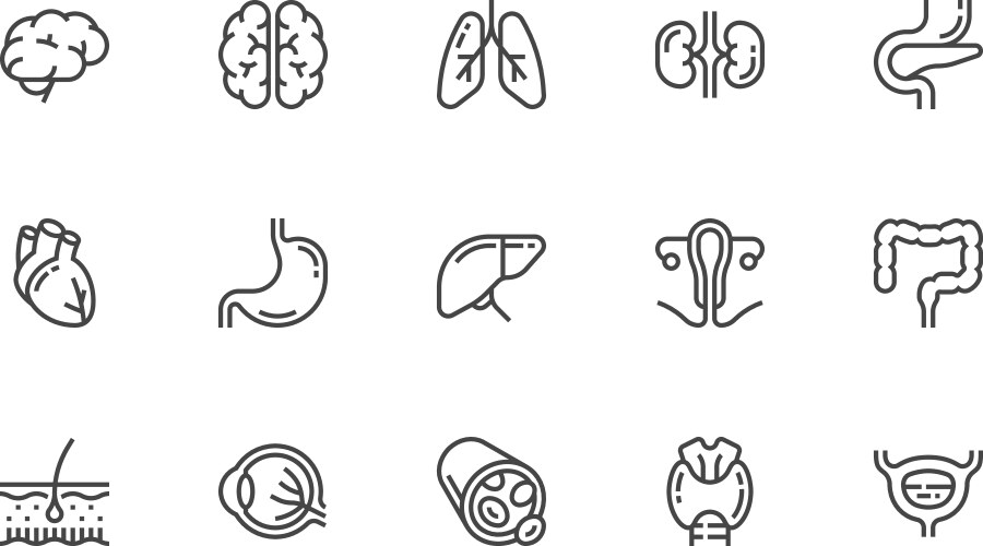 Internal Vector Images (over 500,000)