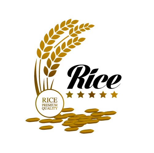 Premium rice great quality design concept Vector Image