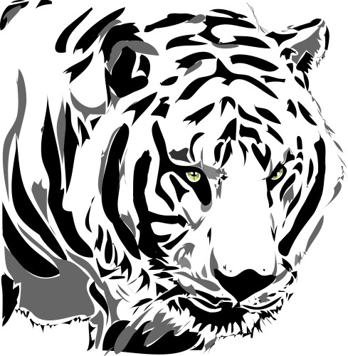 Tiger Vector Images (over 88,000)