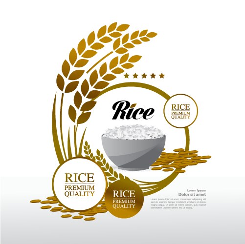 Rice Royalty Free Vector Image - VectorStock