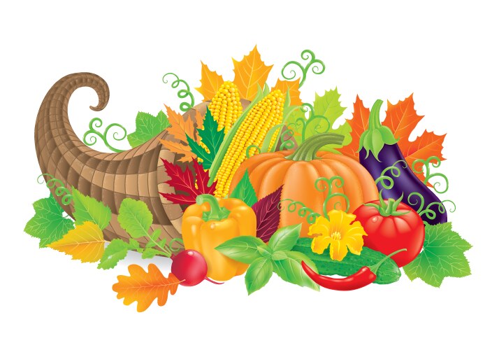 Farm corn Royalty Free Vector Image - VectorStock