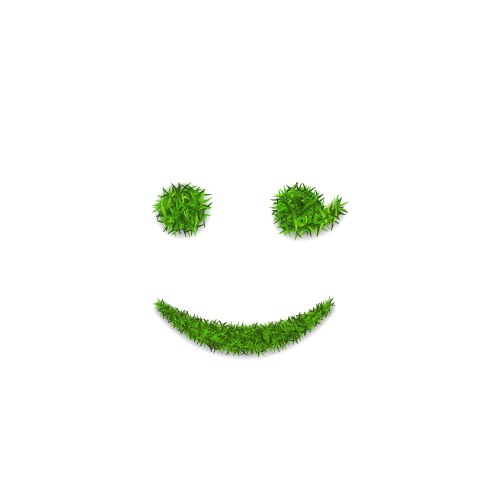 Green grass face smile smiley grassy icon Vector Image