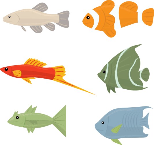 Tropical fish Royalty Free Vector Image - VectorStock