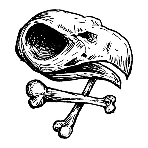 Bird Skull Vector Images (over 5,400)