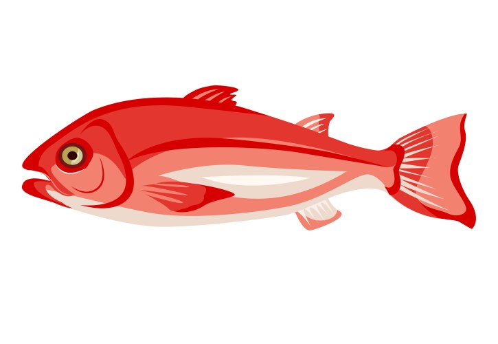 Snapper Vector Images (over 840)