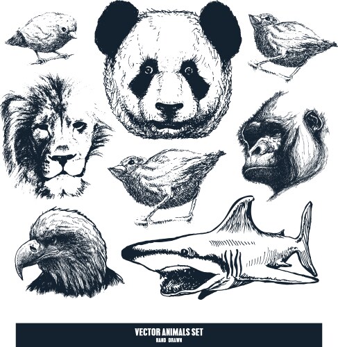Wild animals heads set lion bear gorilla panda Vector Image