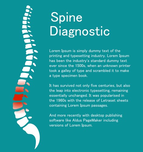 Human spine anatomy medical infographic Royalty Free Vector