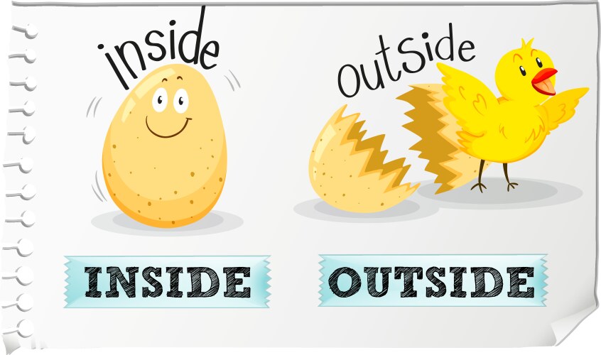 Hen Flashcard Vector Images (72)