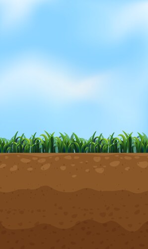 Seamless design with grass and underground Vector Image