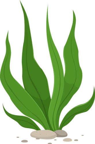 Algae Cartoon Vector Images (over 11,000)