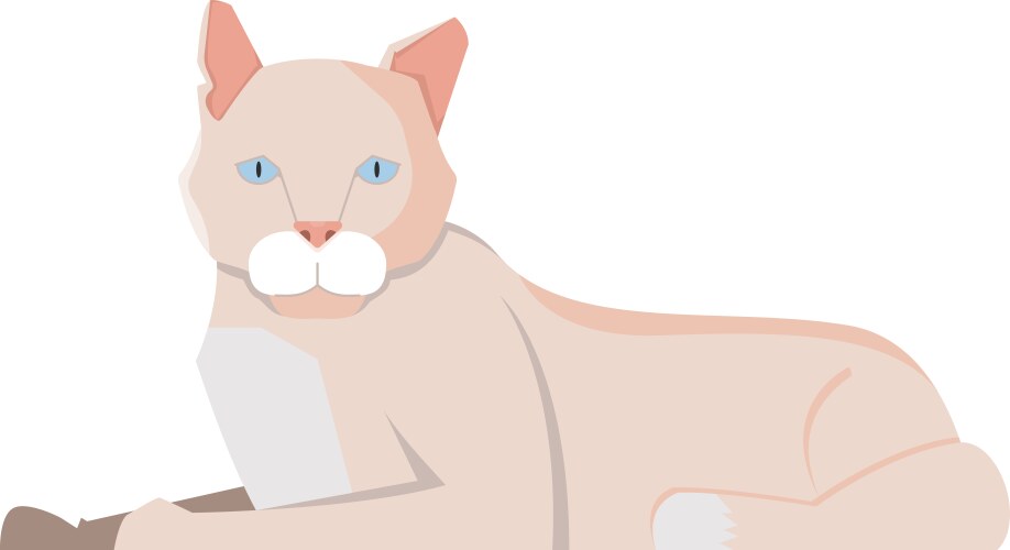 Stray Cats Vector Images (over 580)