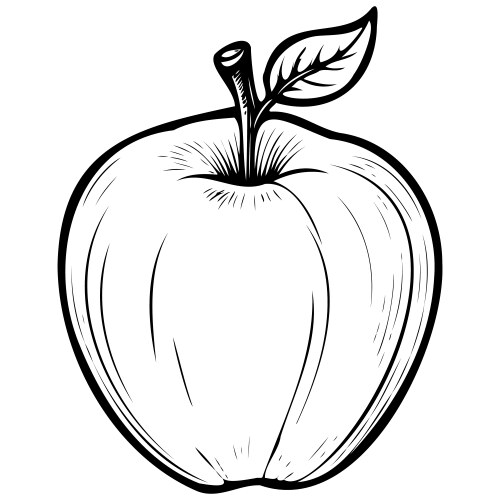 Splendor apple drawing outline cartoon fruit Vector Image