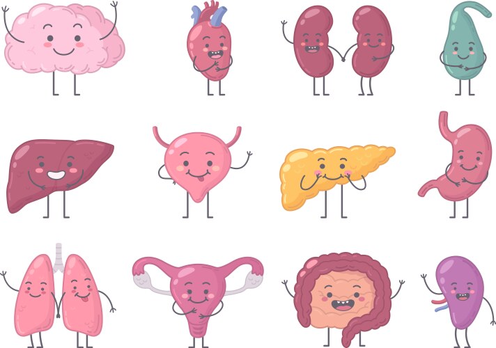 Set of organs cute happy human smiling Royalty Free Vector
