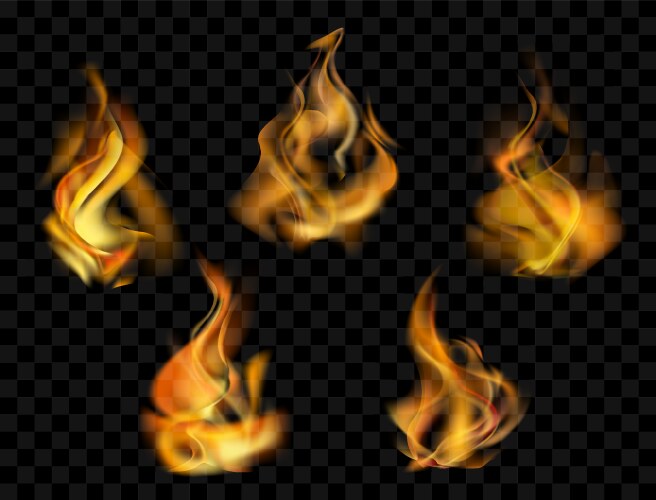Fire design element set flame Royalty Free Vector Image