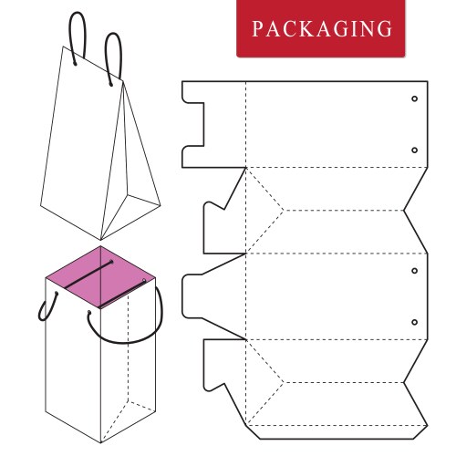 Boxpackage template isolated Royalty Free Vector Image