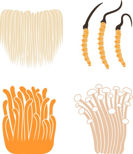 Mushroom Vector Images (over 110,000)