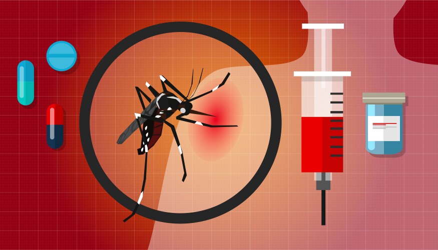 Dengue Vector Images (over 3,800)