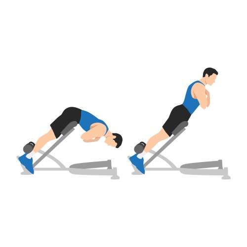 Man doing back extensionshyperextensions exercise Vector Image