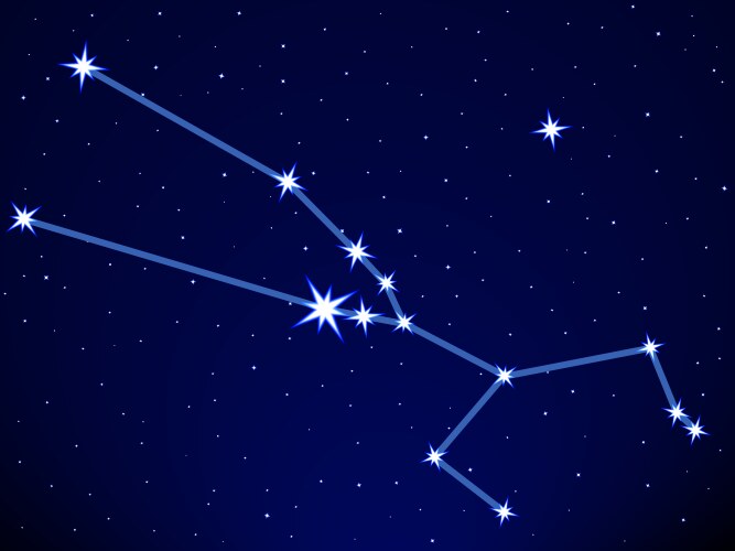 Taurus Vector Images (over 25,000)