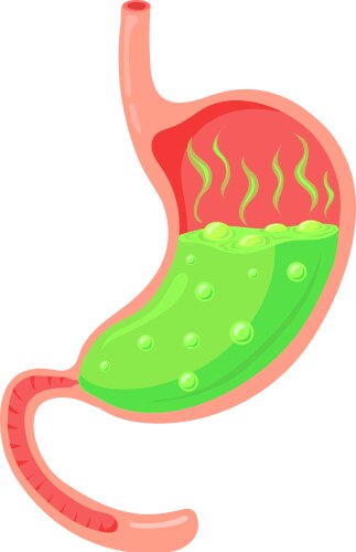 Digestive Problems Vector Images (over 3,700)
