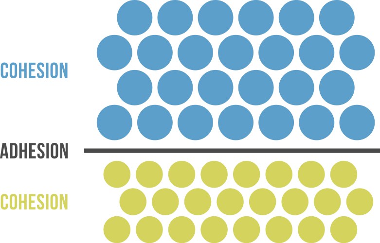 Cohesion Vector Images (over 2,700)