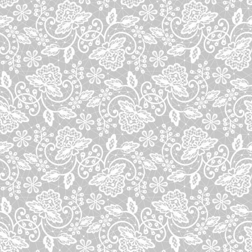 Elegant White Lace Texture Royalty Free Vector Image