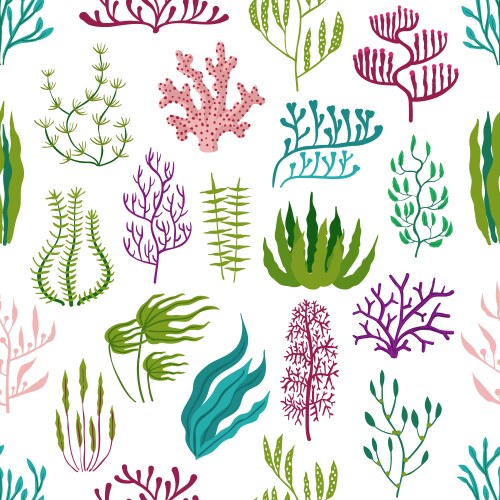 Algae Vector Images (over 23,000)