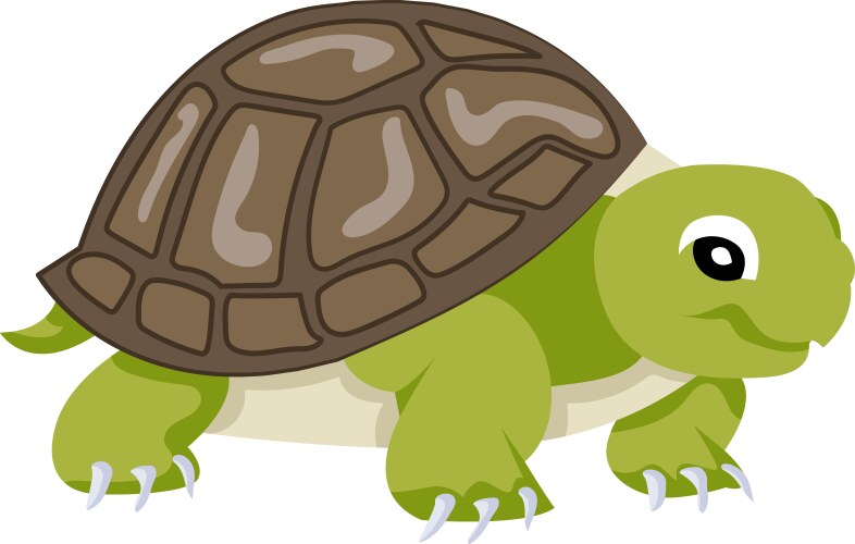 Tortoise Vector Images (over 13,000)