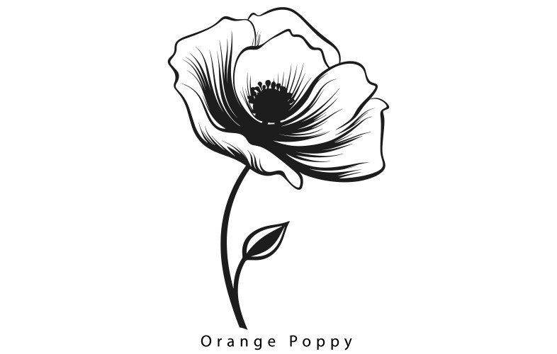 Poppy Logo Vector Images (over 2,400)